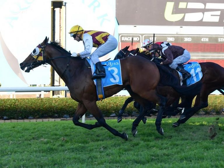 Tony Gollan Breaks His Metropolitan Record | Racing Online
