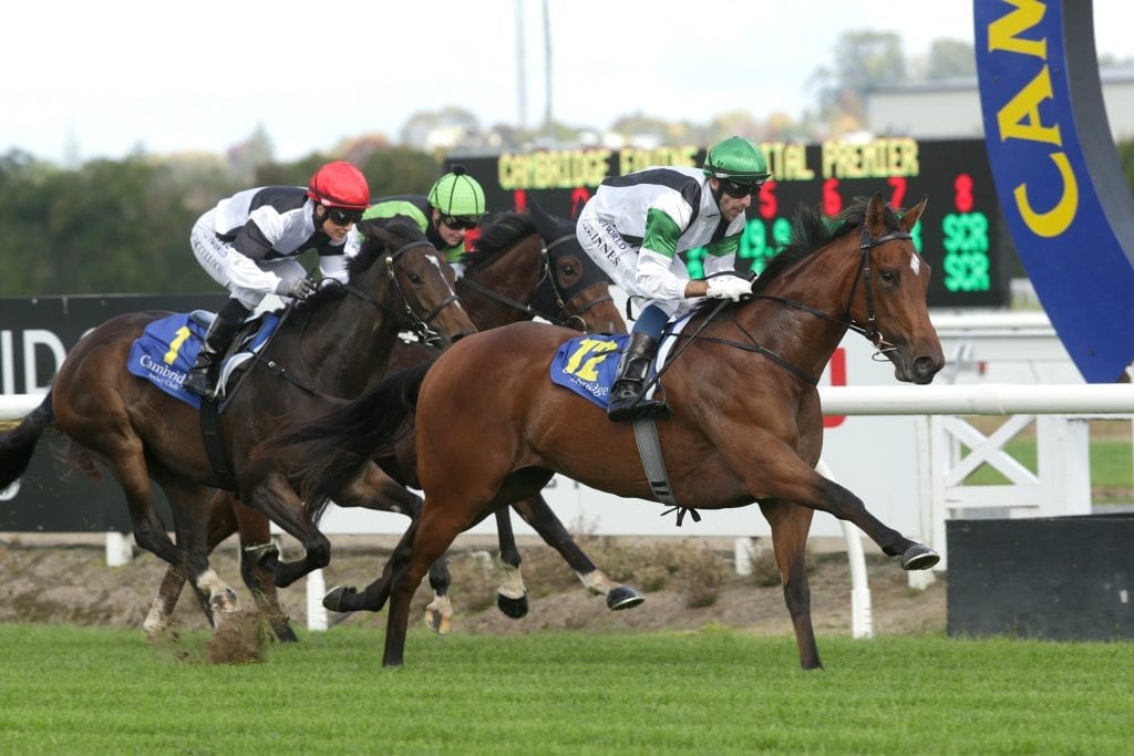 Talented Tony Pike pair head overseas