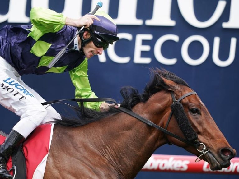Humma Humma Unbeaten After Winter Spell | Racing Online