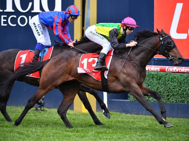 Murray Baker Hopes Cup Is The Chosen One | Racing Online