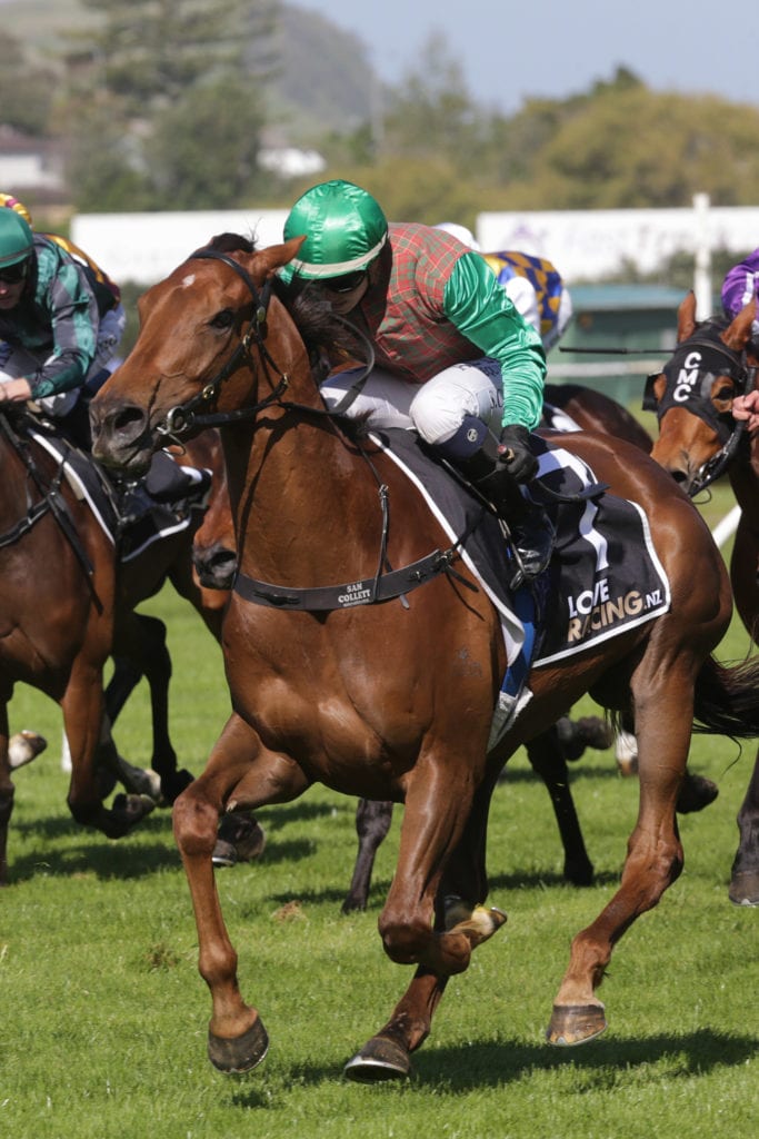 Travelling Light confirms Guineas credentials