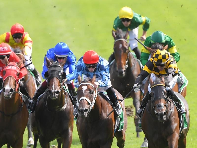 Probabeel Entered For G1 Coolmore Classic | Racing Online