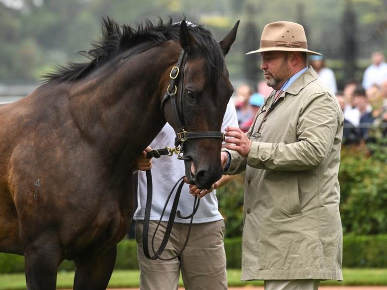 Shepard To Step Out At Ballarat For Moody | Racing Online