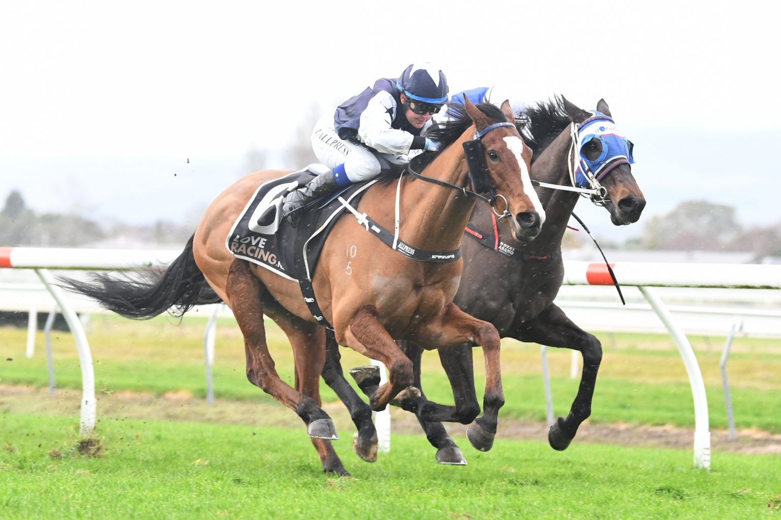 South Island mission on the cards for impressive Awapuni winner