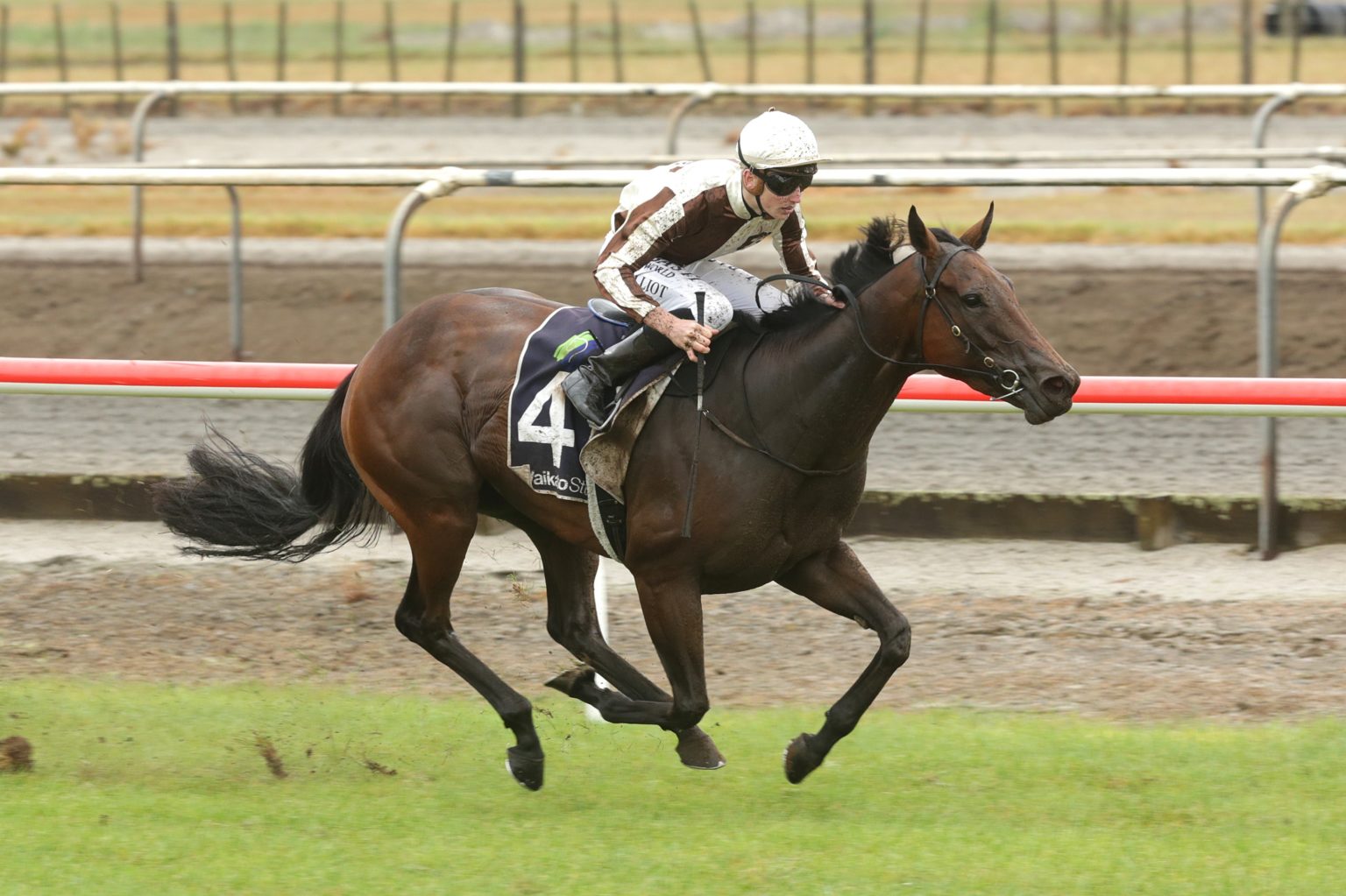 Bigger challenges ahead for Kelso pair