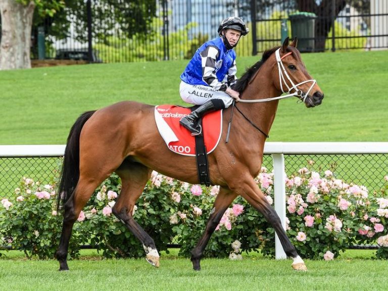 Mugatoo Boasts Right Form For Mackinnon | Racing Online