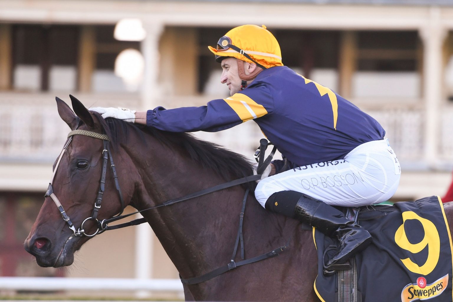 Tofane to reunite with New Zealand jockey Opie Bosson