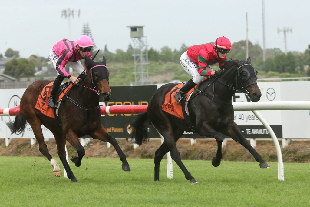 New Zealand apprentice Newman on a mission after winning double
