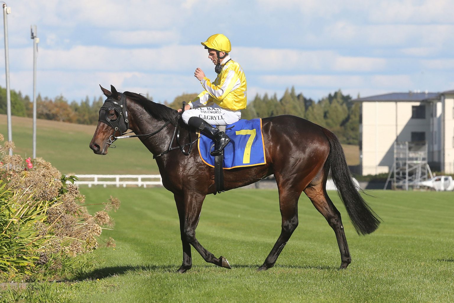 Bonny Lass Delivers In Style At Te Rapa