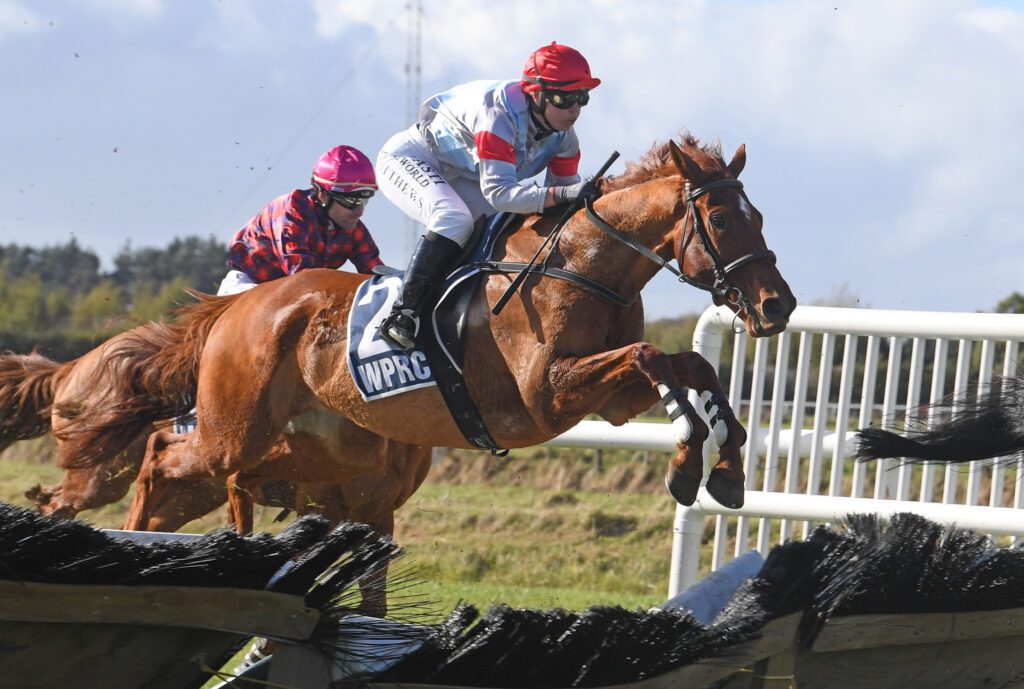 Berry The Cash Chases First Hurdles Title At Hastings