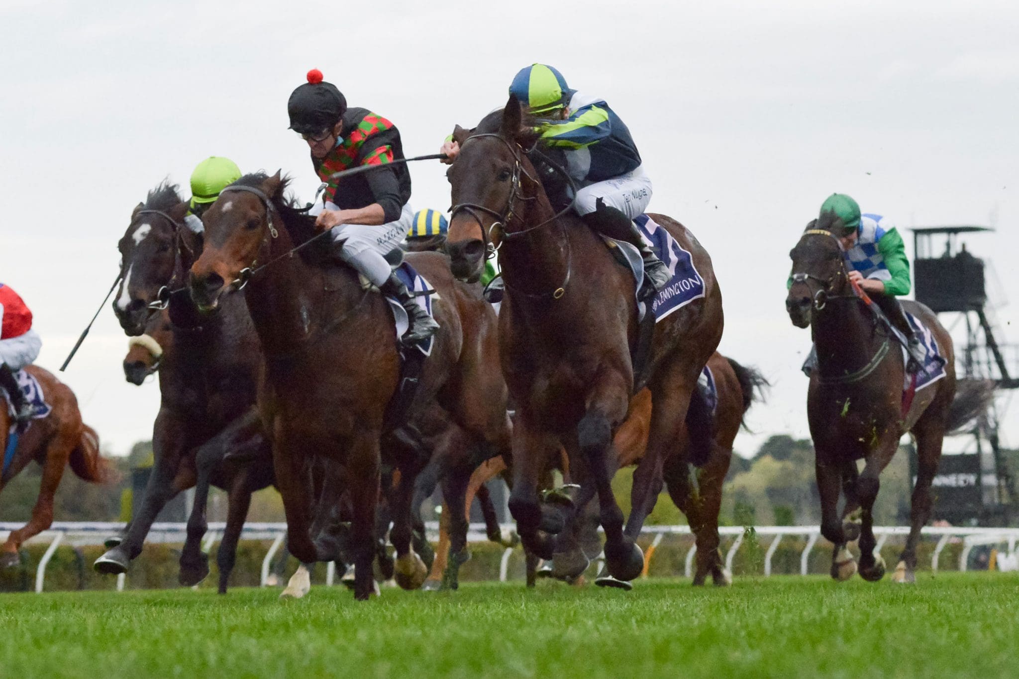 Melbourne Cup aspirations still intact for Defibrillate