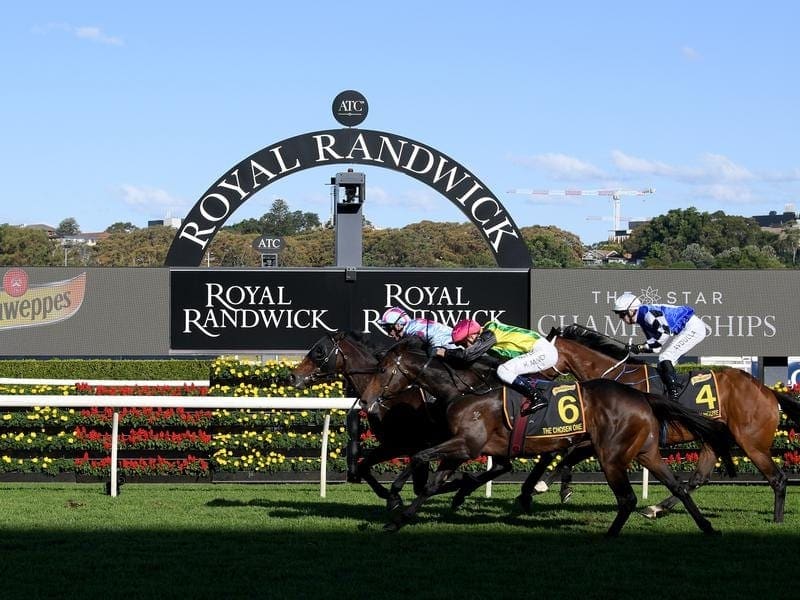 Melbourne Cup chosen aim for Baker/Forsman | Racing Online