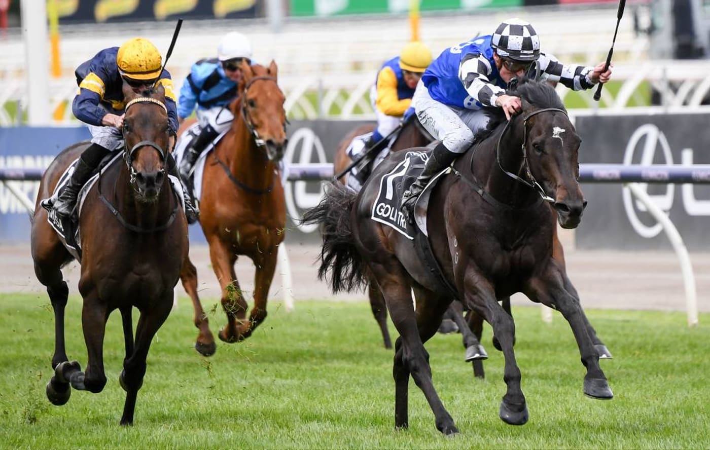 Who Won Last Year's Melbourne Cup?