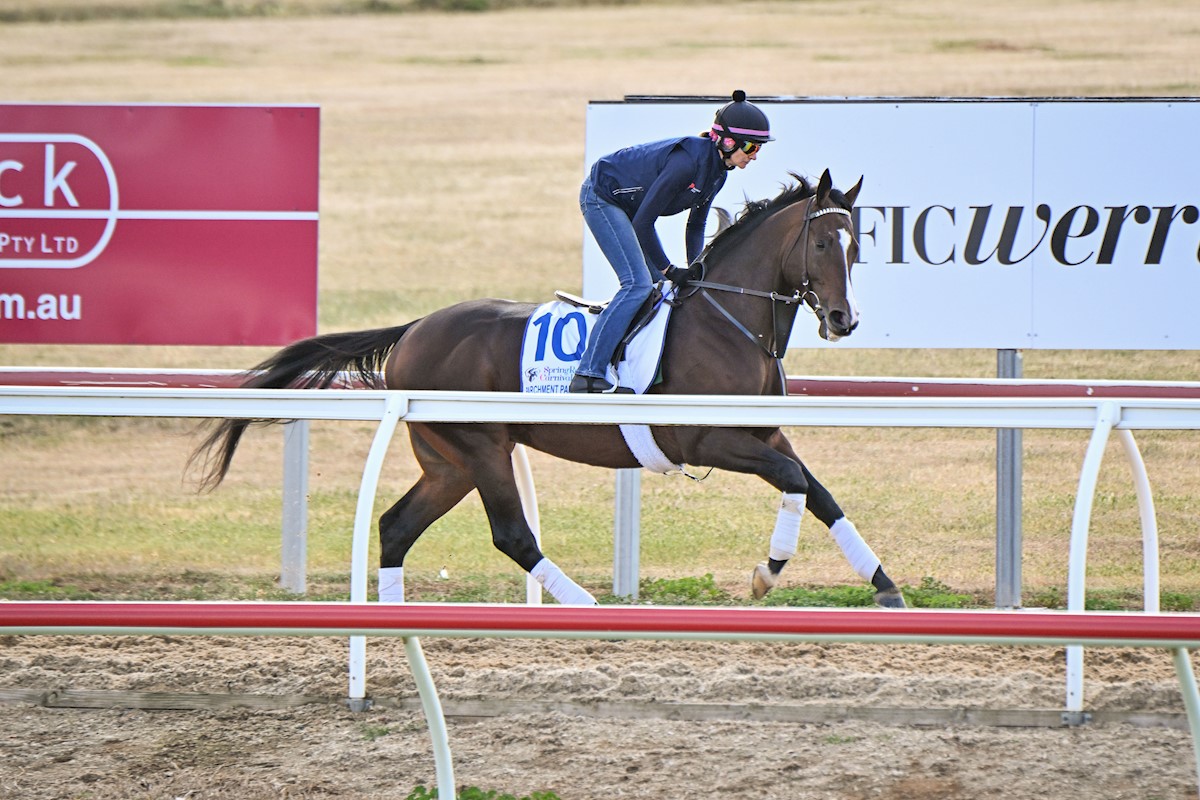 John Velazquez | Melbourne Cup Wins | Results | 2025 Melb Cup